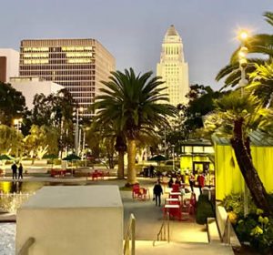 Los Angeles Process Servers - Same Day Service Available
